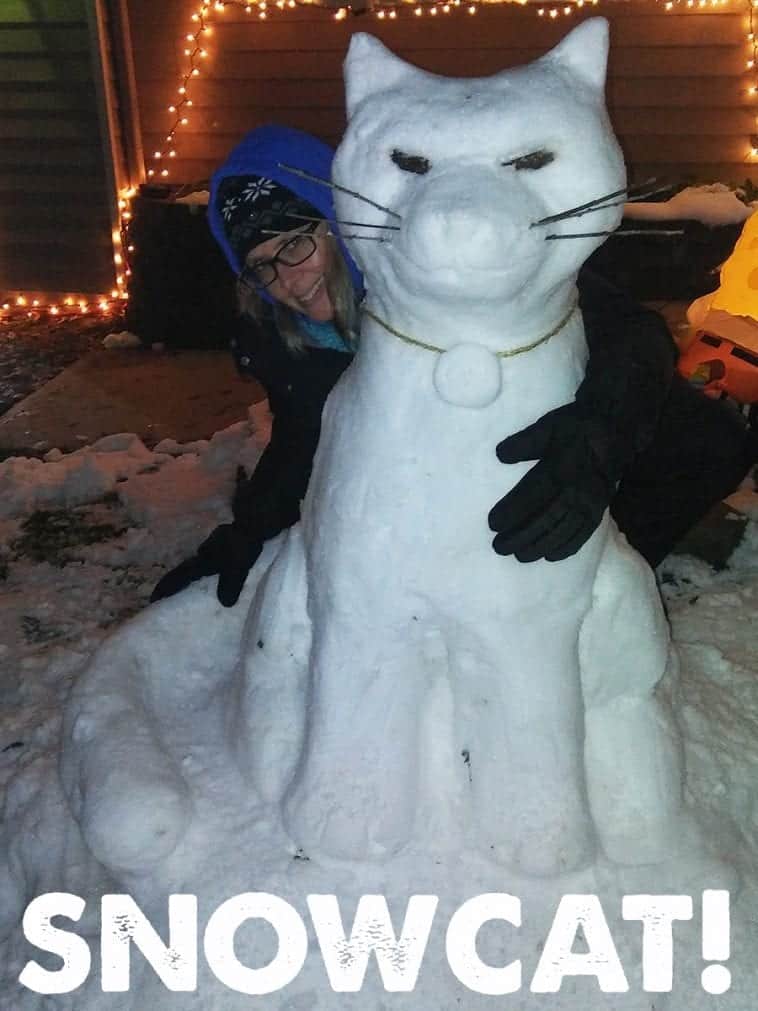 Cats First Experience With Snow - Cole & Marmalade