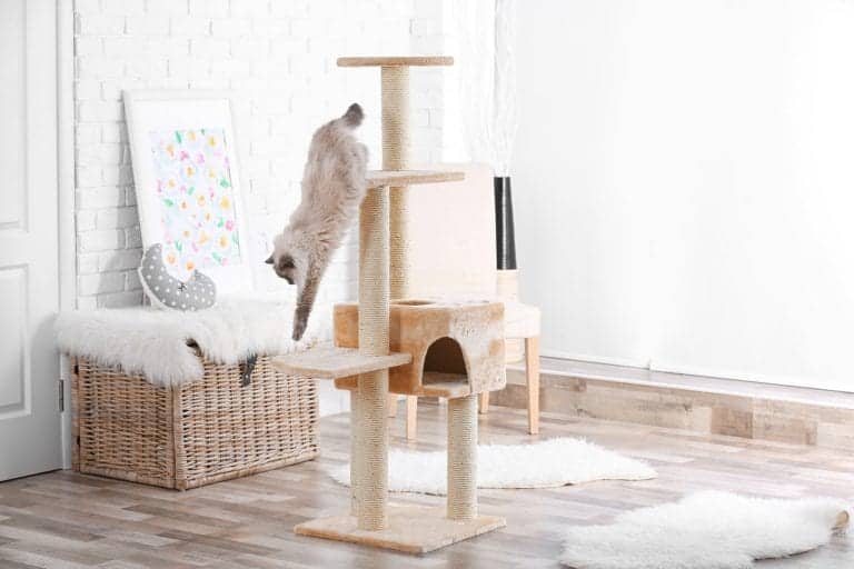 5 Easy Steps To Creating Your Own Cat Tree - Cole & Marmalade