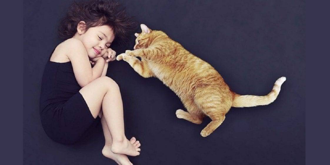 Cat Parents Becoming Human Parents? How to Prepare Your Cat for Your ...