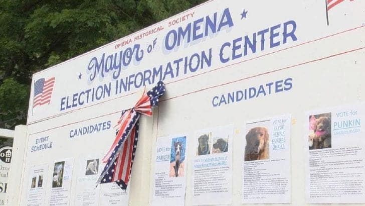 Cat Elected Mayor of Michigan Town; Won Despite "Ruff" Competition ...