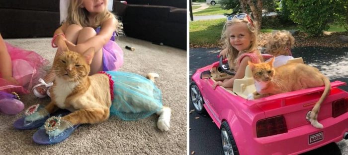 (With Adorable Updates!) One Extraordinary Cat Has Taken The Internet ...