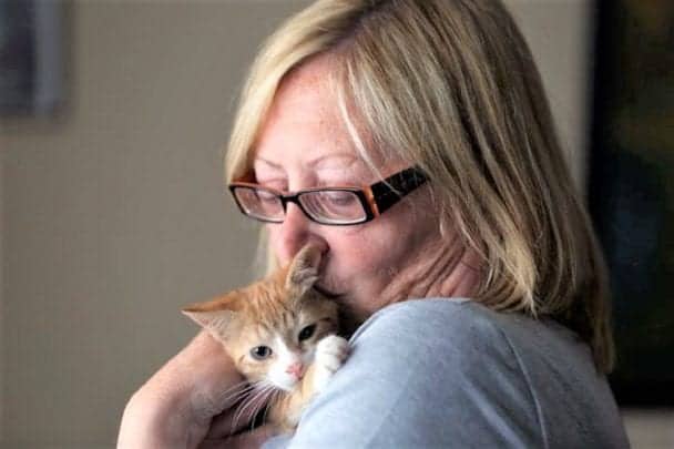 (With Update) Rare Ginger Kitten Born With 6 Legs; Easily Walks Into ...