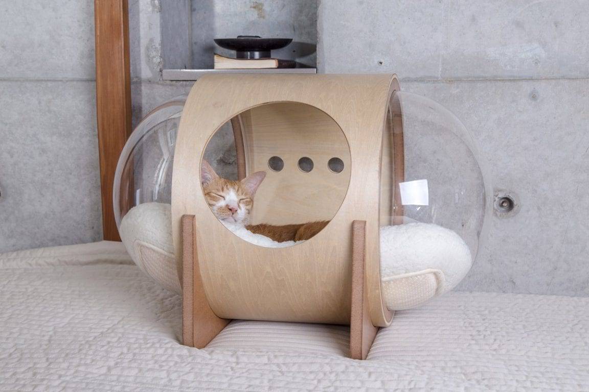 Unique "Catification" Designs Are Something Out Of This World! - Cole ...
