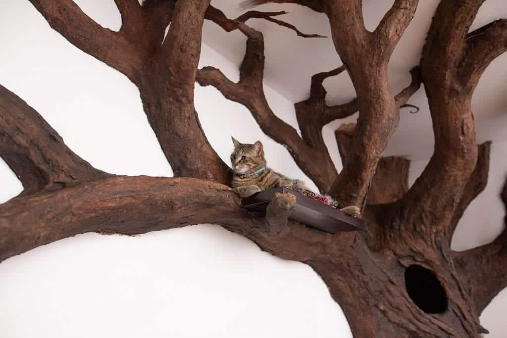 Artist CATapulted To Fame With Unbelievably Gorgeous Cat Tree Sculpture ...