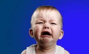 State Departments Fake "Cat Pajama-Jam" Email A Huge Disappointment For ...