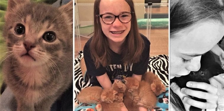 Cat Parents Becoming Human Parents? How to Prepare Your Cat for Your ...