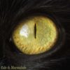 The Colors Of The Worlds Most Beautiful Cats Eyes - Cole & Marmalade