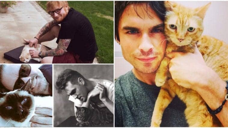 Cole & Marmalade - Welcome Cat People!