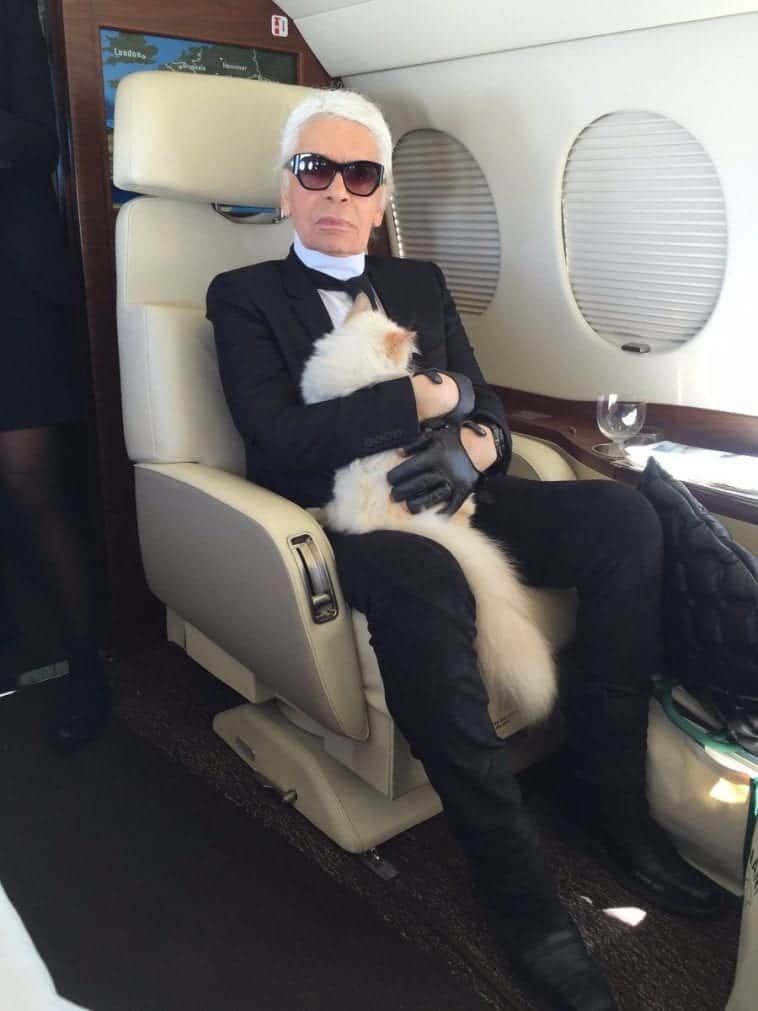 Karl Lagerfeld's Cat Set To Inherit A Record Breaking Fortune - Cole ...