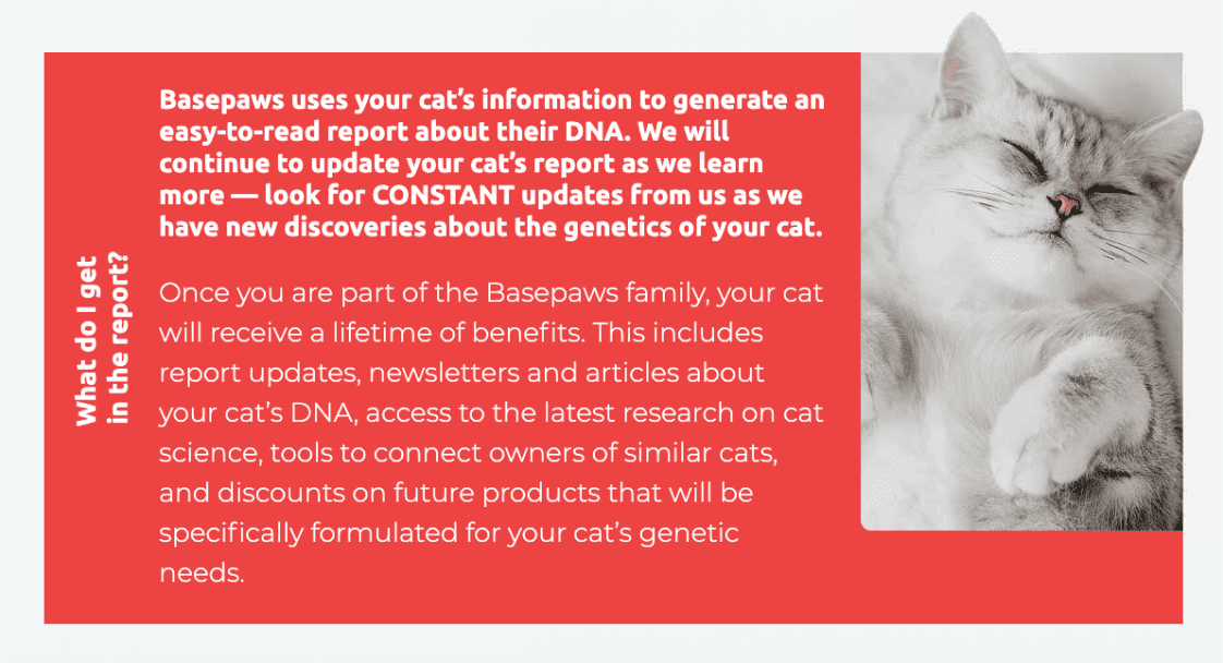 New DNA Test Just For Cats Can Unlock Your Feline's Breed History ...