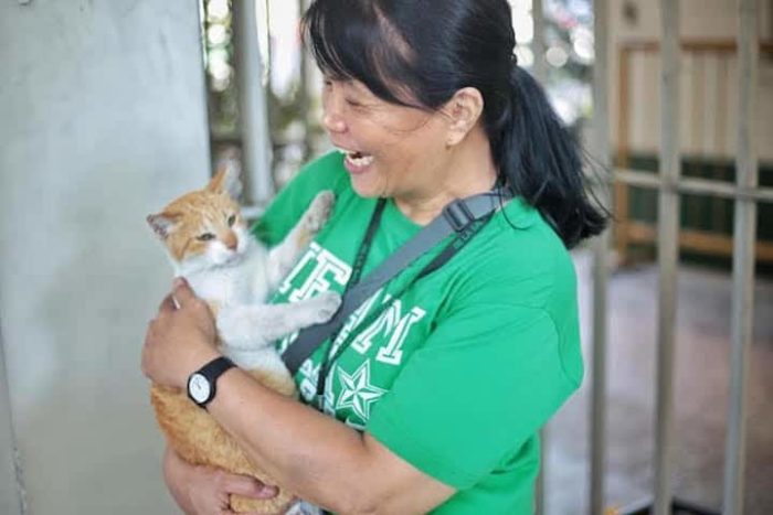 (WITH UPDATE) Illness Forces University's Cat Mascot Archer To Graduate ...