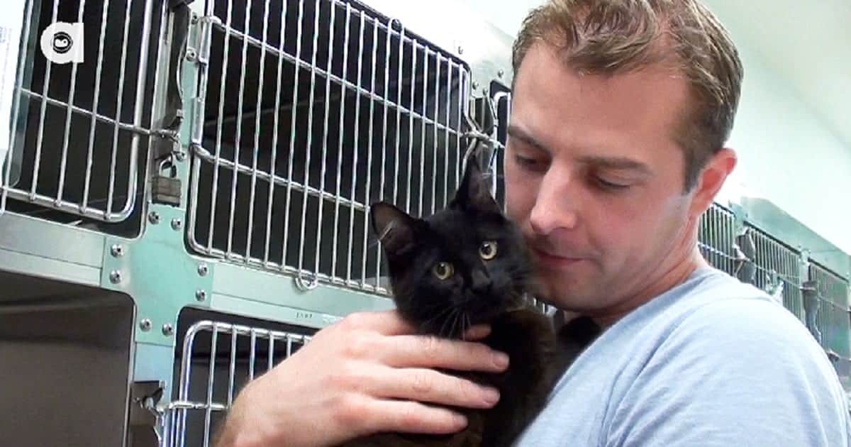 Compassion Fatigue For Animals Rescuers: What You Should Know Before ...