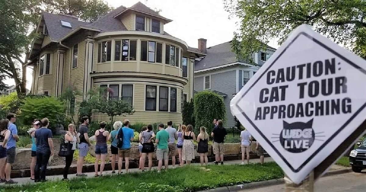 Love Looking At Cats AND Pretty Homes? Now You Can Do Both In ...