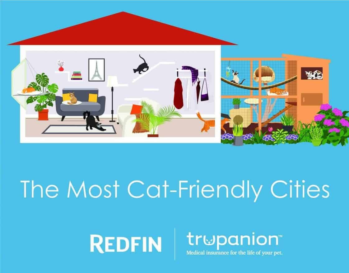 The 25 Most "Cat-Friendly" Cities In The United States - Cole & Marmalade