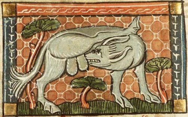 Medieval Cat Art Is Equally Hysterical And Perplexing - Cole & Marmalade