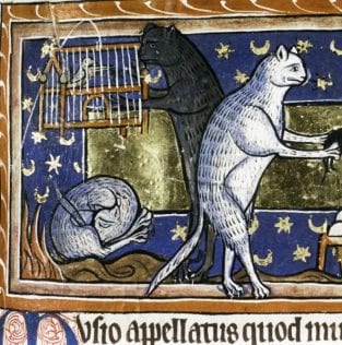 Medieval Cat Art Is Equally Hysterical And Perplexing - Cole & Marmalade