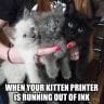Hilarious Cat Memes To Make You LOL - Cole & Marmalade