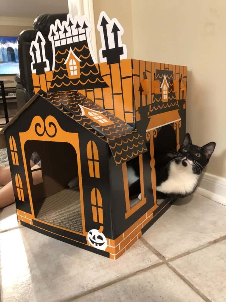 Target Is Selling Cardboard Haunted Mansions For Cats - Cole & Marmalade