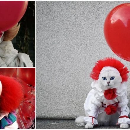 Tiny Kitten Rescued From Tree Is Now An Official 'Fire Cat' - Cole ...