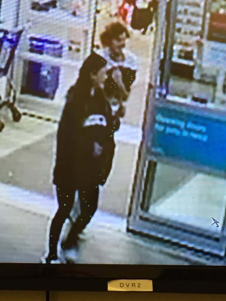 (FOUND SAFE!) Black Cat "Batman" Stolen From PetSmart Adoption Event ...