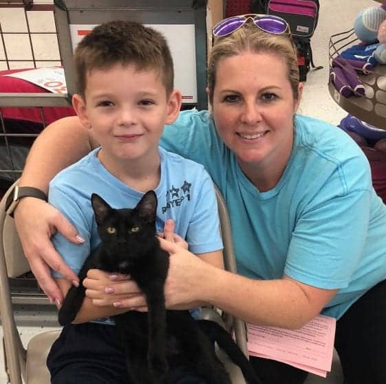 Sometimes We Just Need Adorable Kitten Photos To Brighten Our Mood ...