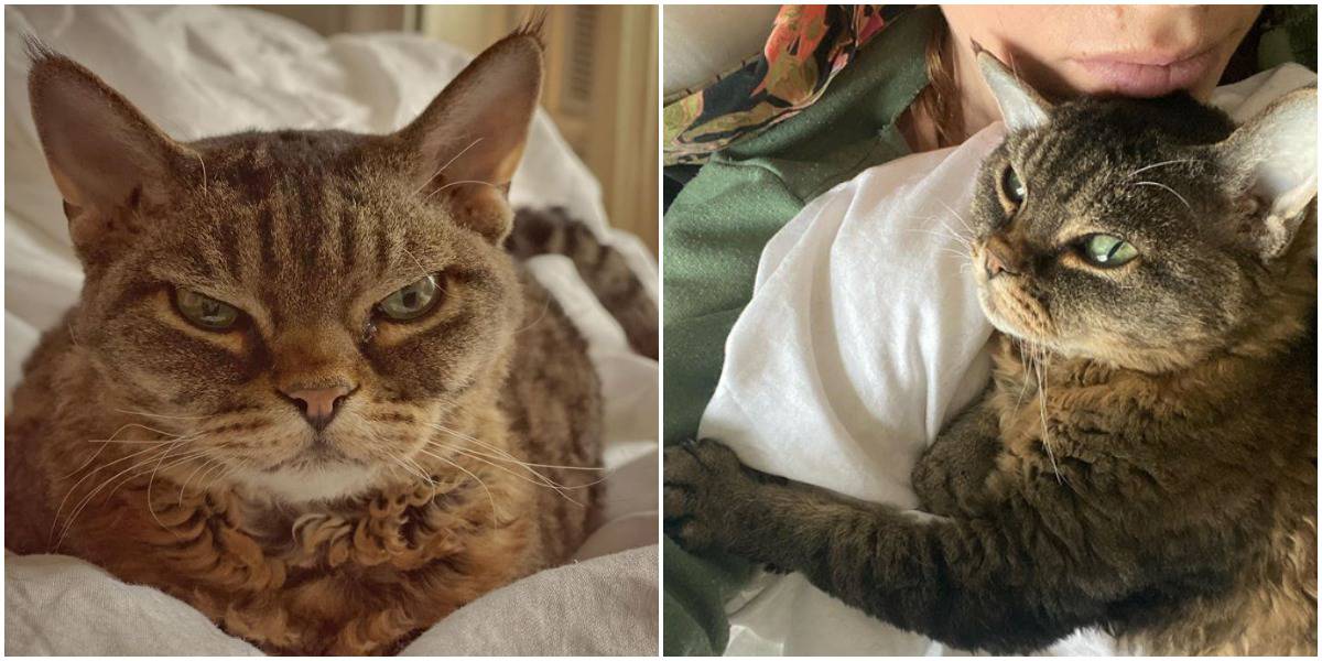 Grumpy Barbara Learns To Love Thanks To A Very Special Lady - Cole ...