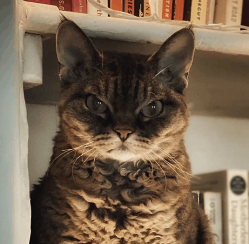 Grumpy Barbara Learns To Love Thanks To A Very Special Lady - Cole ...