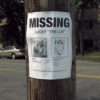 Best Lost And Found Pet Signs Help Bring Attention & Smiles To ...