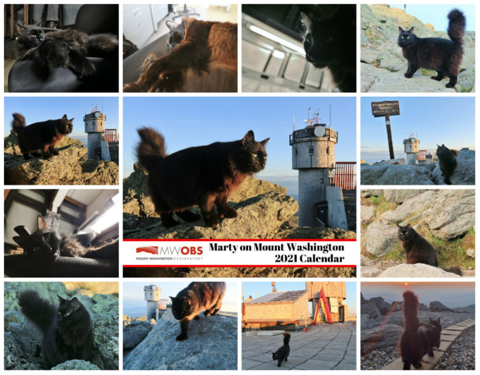 Marty The Cat Ascends After More Than A Decade Atop Mount Washington ...