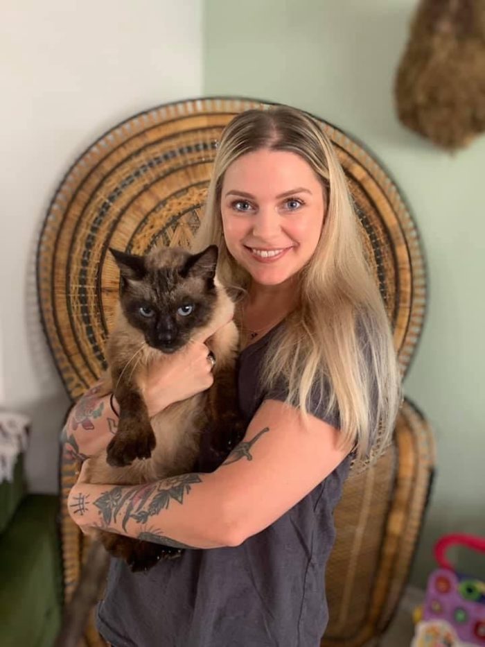 Abandoned Siamese Polydactyl Cat Has Paws As Big As His Heart! - Cole ...