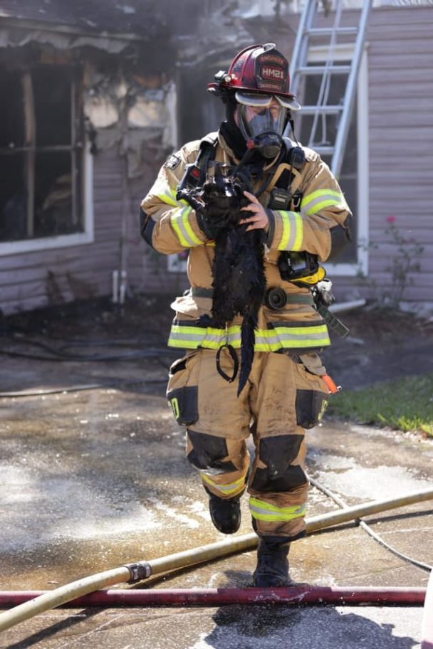 Heroic Fireman's Smile After Saving Family Cat Is Warming Hearts - Cole ...