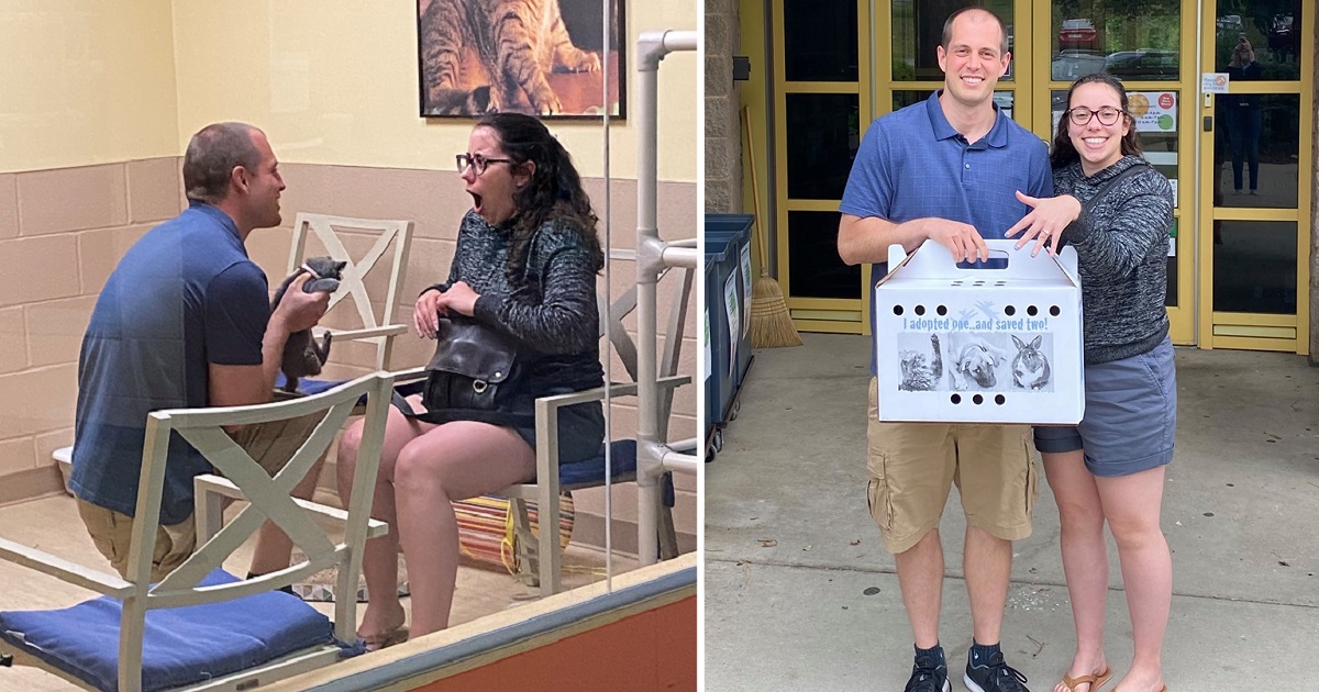 Kitten Adoption Comes With Surprise Marriage Proposal - Cole & Marmalade