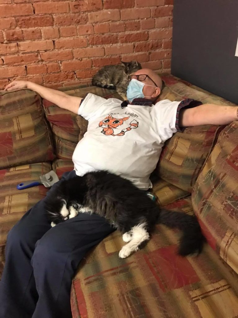 Charges Filed Against Two Women Who 'Catnapped' Rare Brown Kitten From ...