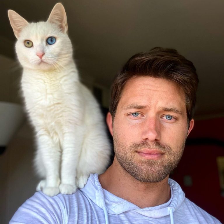 What Happens When Men with Cats Show Their Feline on Dating Apps?