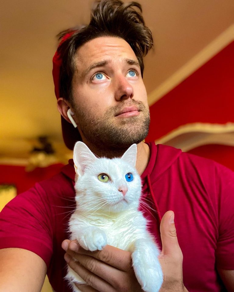 What Happens When Men with Cats Show Their Feline on Dating Apps?