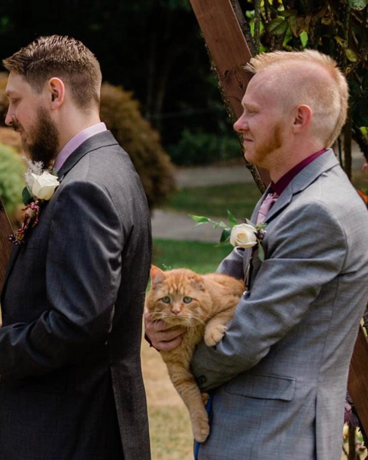 BenBen The 'Saddest Cat On The Internet' Has The Most Amazing Life Now ...