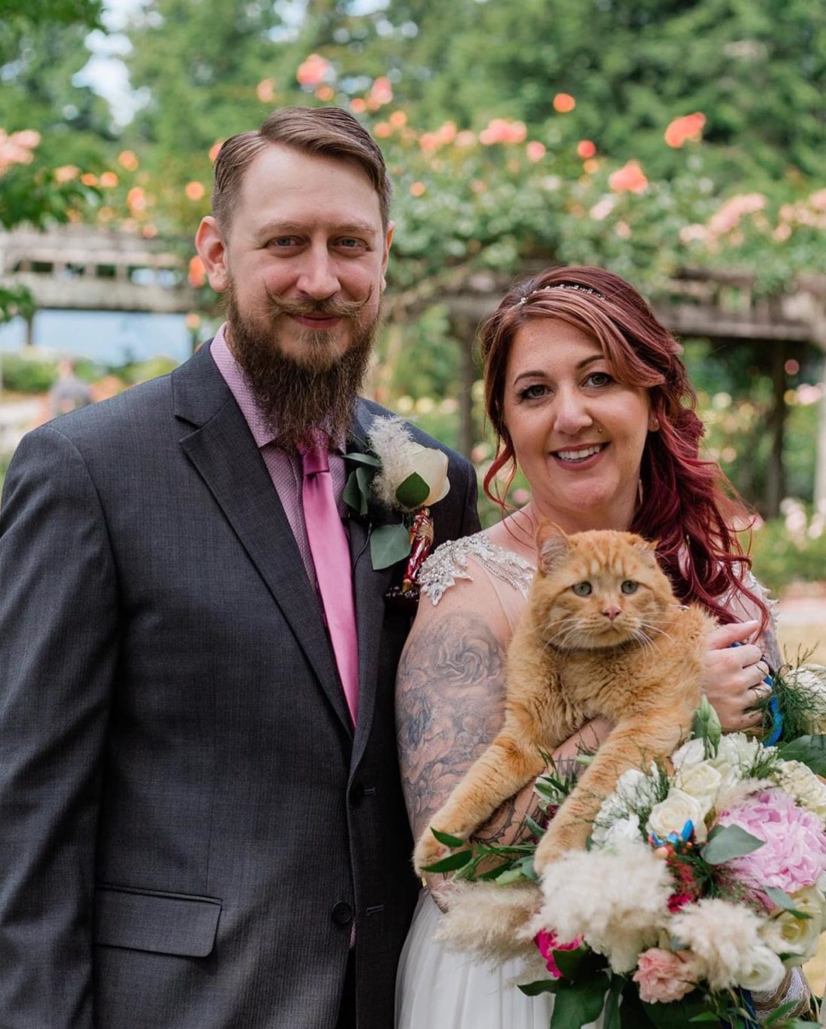 BenBen The 'Saddest Cat On The Internet' Has The Most Amazing Life Now ...