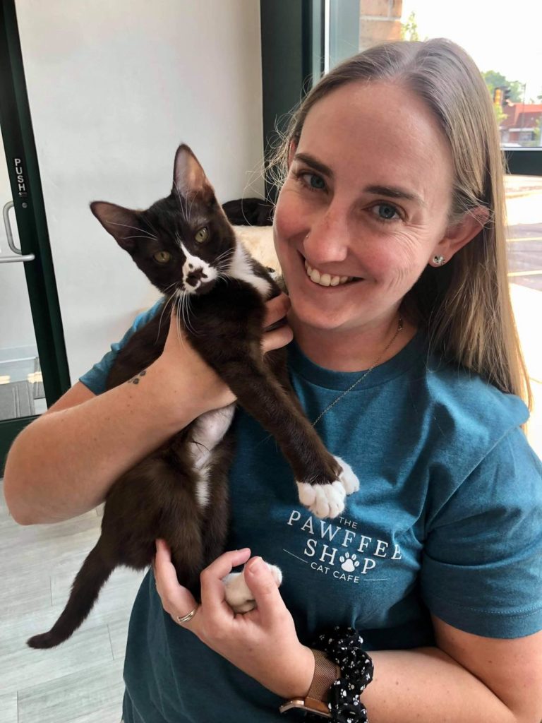 Charges Filed Against Two Women Who 'Catnapped' Rare Brown Kitten From ...