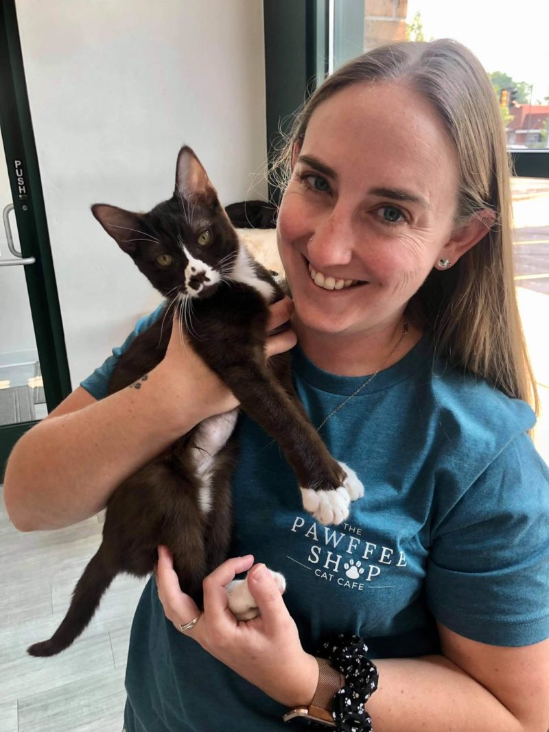 Charges Filed Against Two Women Who 'Catnapped' Rare Brown Kitten From ...