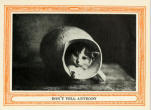 This 1911 Book Shows Cat Memes Predate the Internet over 70 Years