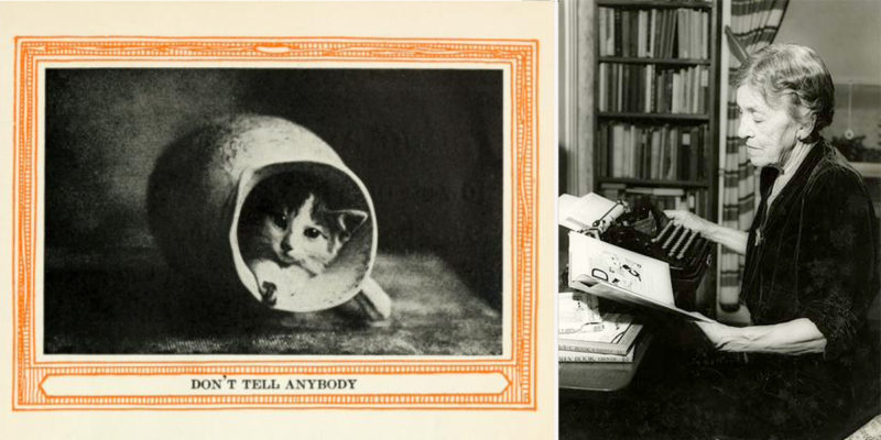 This 1911 Book Shows Cat Memes Predate the Internet over 70 Years