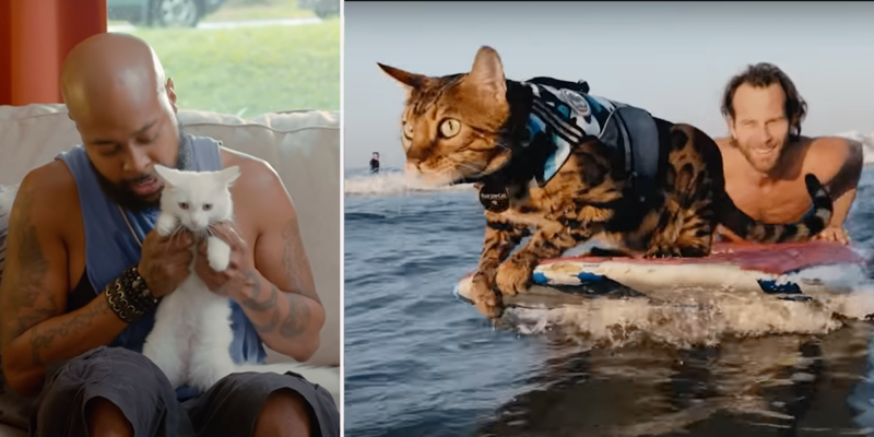 Netflix Series, 'Cat People' Shows the Diverse World of Cat Lovers