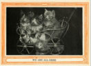 This 1911 Book Shows Cat Memes Predate the Internet over 70 Years