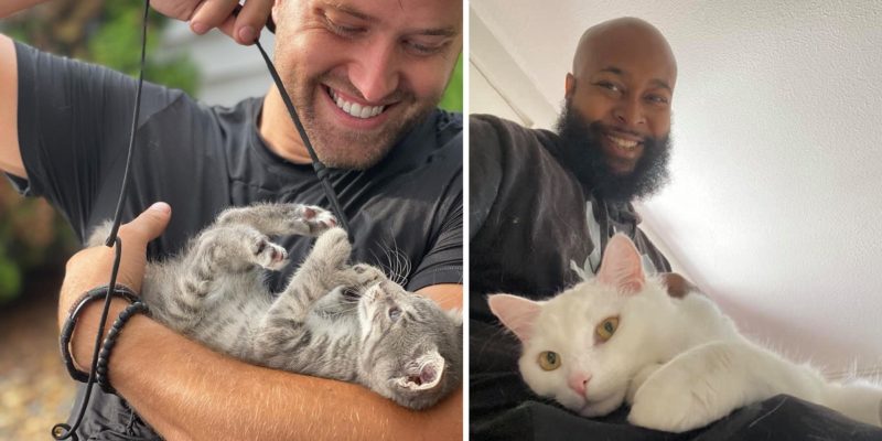 What Happens When Men with Cats Show Their Feline on Dating Apps?