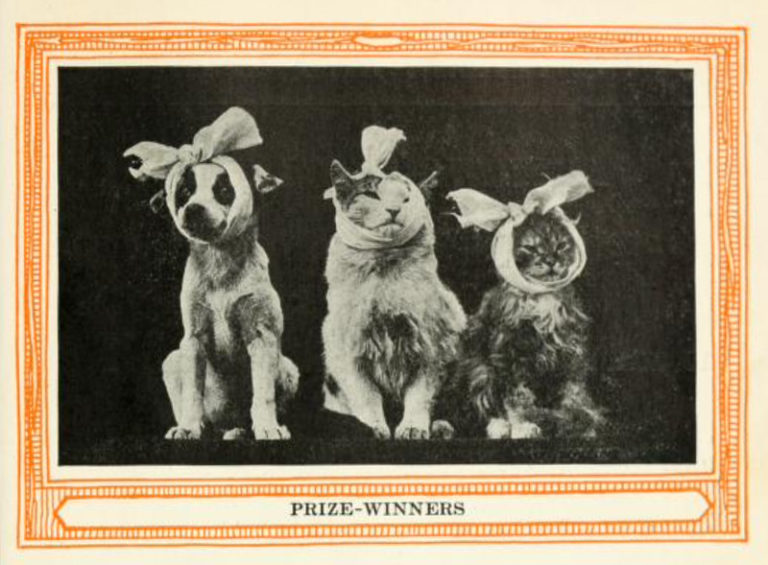 This 1911 Book Shows Cat Memes Predate the Internet over 70 Years