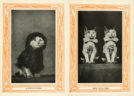 This 1911 Book Shows Cat Memes Predate the Internet over 70 Years