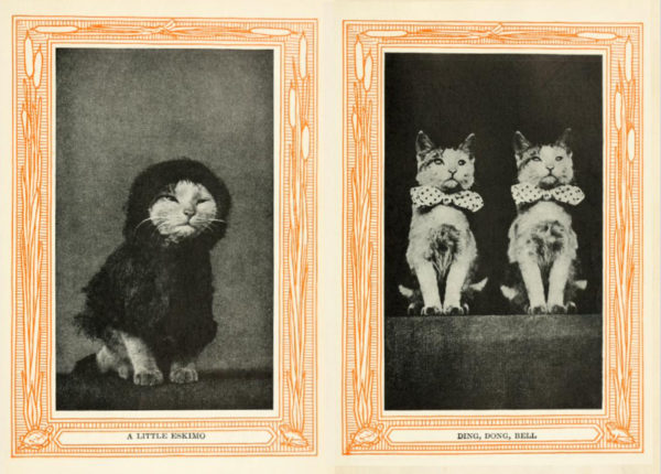 This 1911 Book Shows Cat Memes Predate the Internet over 70 Years