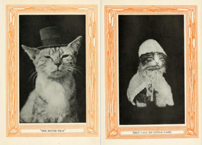 This 1911 Book Shows Cat Memes Predate the Internet over 70 Years