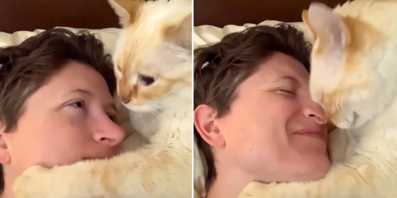 Rick James the Cat Shows How Felines Are Supremely Affectionate