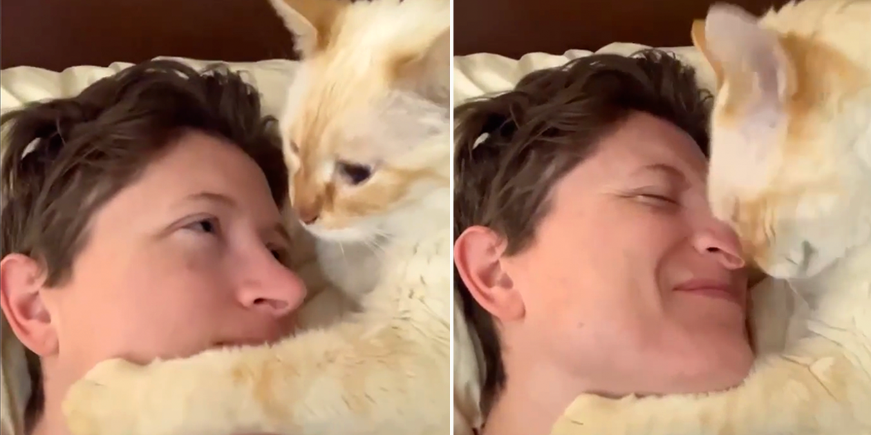 Rick James the Cat Shows How Felines Are Supremely Affectionate